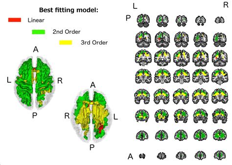 Spatial Distribution Of Significant Linear And Non Linear 2 Nd And 3 Download Scientific