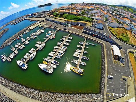 Azores Whale Watching Terra Azul 2025 All You Need To Know Before