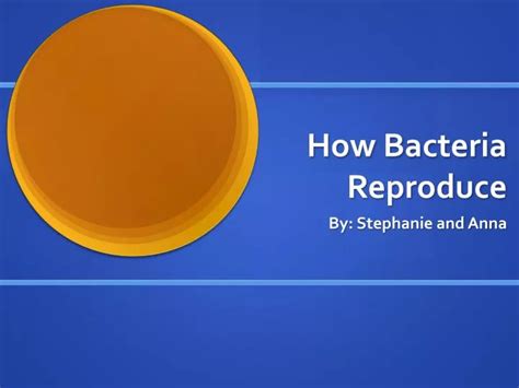 Ppt How Bacteria Reproduce Powerpoint Presentation Free Download