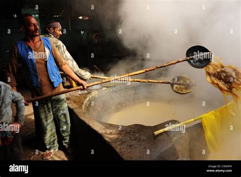 Africa Middle East Egypt Molasses Making Using Crushed Sugar Cane Stock