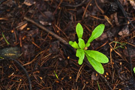 Meridiam Rockefeller Foundation To Launch Resilience Fund Exclusive