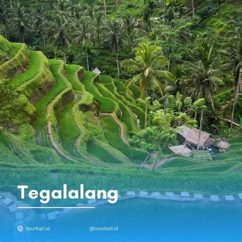 5 Kegiatan Wisata Di Ubud Bali Tourbali Id