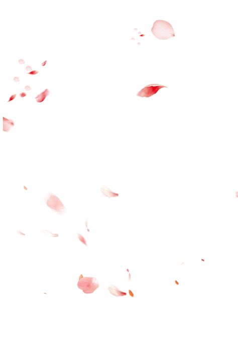 樱花飘落 免扣png
