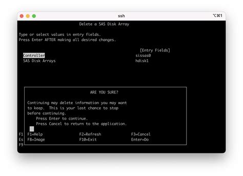 Client Tasks To Be Performed In Order To Prepare An IBM Power System For A Concurrent SAS Or SSD