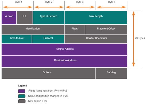 CCNA 1 V7 0 Curriculum Module 8 Network Layer