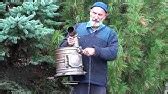 Срез Кедра 445 лет. - YouTube