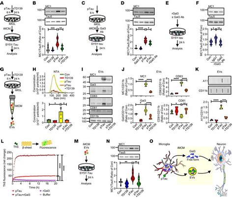 Jci Galectin 3 Aggravates Microglial Activation And Tau Transmission