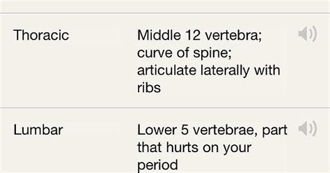 Female Oriented Comedy Found In Quizlet Aandp Flash Cards Imgur