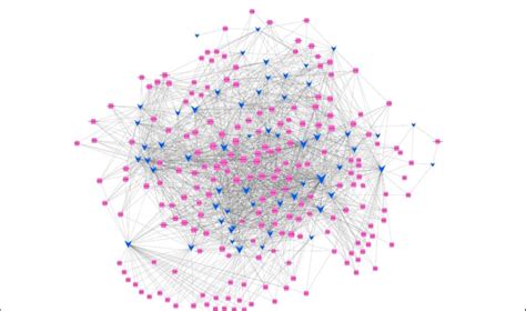 The Coding Non Coding Co Expression Network Of Differentially Expressed