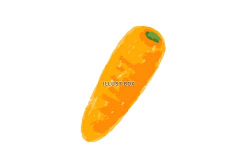 無料イラスト 手書きのにんじん