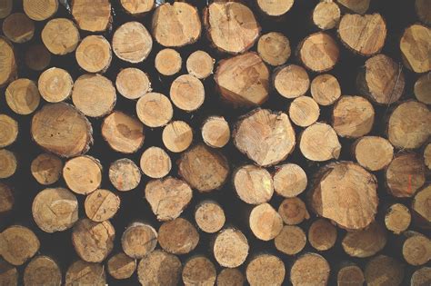 Logs Texture Pattern Free Photo On Pixabay