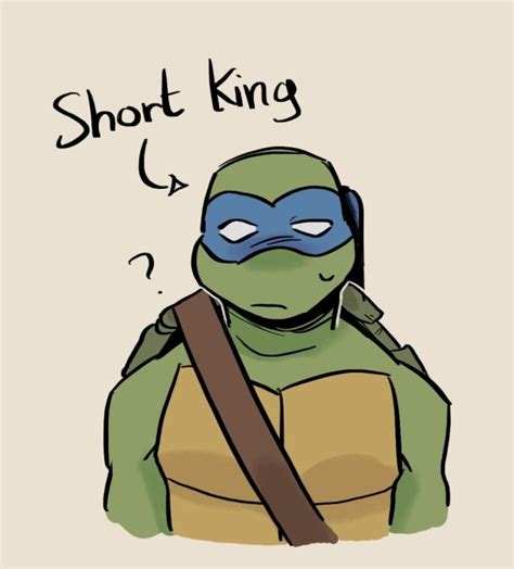 Tmnt Mikey 2003 On Tumblr