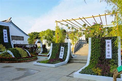 打卡厦门版百草园超千种中草药2万展区就在园博苑 植物 百草园以江南园现有的景观为基底进行改造引入500多种中草药植物