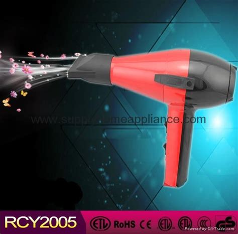 Ac Motor Hair Dryer Professional For Salon Rcy2005 Jiaji Or Oem