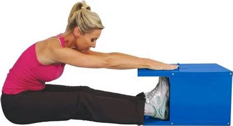 Trunk Flexibility Tester At ₹ 27000 Piece Physiology And Sports