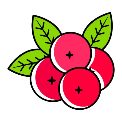 Raspberry Generic Color Omission Icon