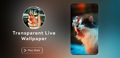 Transparent Live Wallpapers Android App