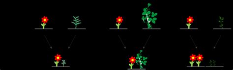 Three Hypothetical Examples Illustrating The Relationship Between