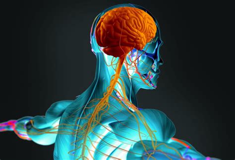 Paralyzed Man Walks Again After A Bluetooth Implant Reconnects His