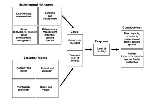 Conceptual Framework Of A Possible Set Of Factors Likely To Affect
