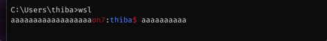 Long Commands Wrap Around Instead Of Going To A New Line With Wsl
