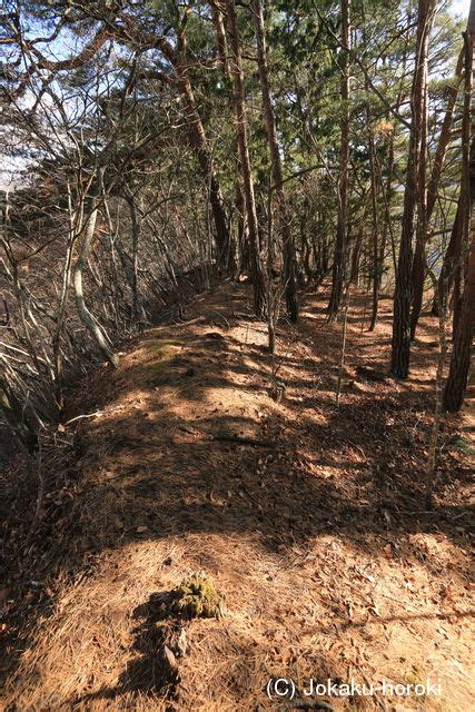 甲斐 大渡の烽火台の写真集 城郭放浪記