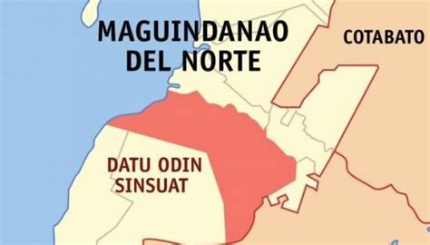 Comelec Names Administrator For Datu Odin Sinsuat