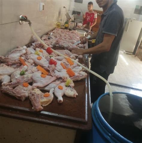 طيور ابو شريف