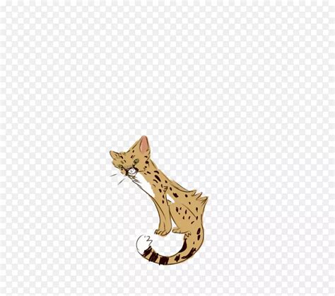 猫科宠物食肉尾豹PNG图片素材下载 图片编号665459 PNG素材网