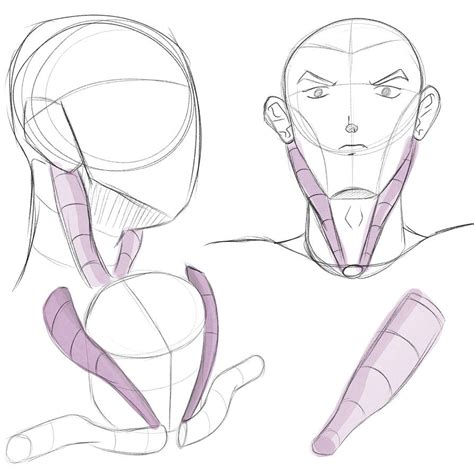Sternocleidomastoid By Bullidom On Deviantart