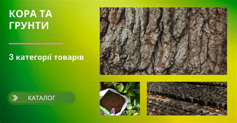 Зелено декоративні трави купити