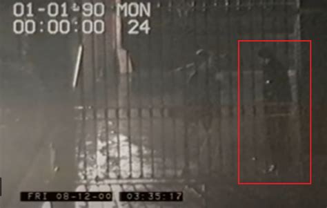 Trevor Deely Renewed Appeal On 22nd Anniversary Of His Disappearance Newstalk