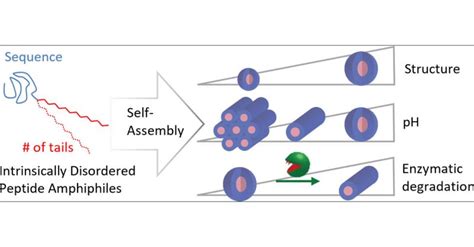 Roy Beck Barkai On Linkedin Self Assembly Of Tunable Intrinsically