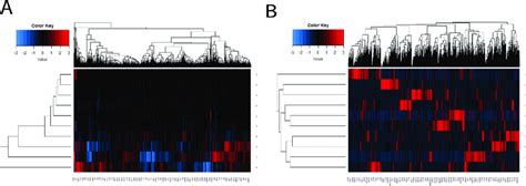 Heatmap Representation Of The Relationship Matrix Between Pathways And Download Scientific