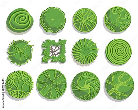 Trees And Bush Item Top View For Landscape Design Vector Icon Stock