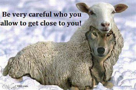 Quotes About False Prophets Quotesgram