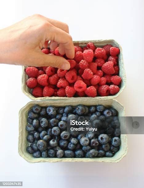 포장 용기에 라즈베리와 블루 베리 여자의 손은 패키지 클로즈업에 상자 빨간색과 파란색 과일에서 열매를 합니다 건강한 생활방식에 대한 스톡 사진 및 기타 이미지 Istock