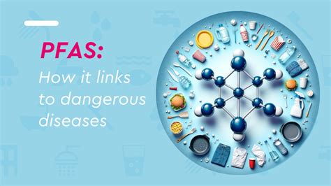 Pfas How It Links To Dangerous Diseases Bwt Water Filters In Vietnam Europes Number 1 In