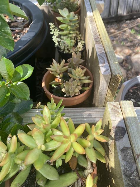 my current props r proplifting
