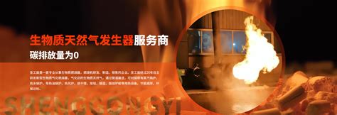 生物质气化熔铝炉生物质燃烧机生物质锅炉沈阳圣工燚科技有限公司
