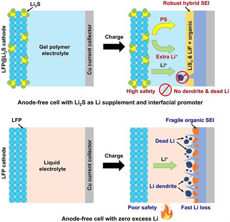 王治宇教授团队长寿命准固态无负极电池新突破 精细化工重点实验室