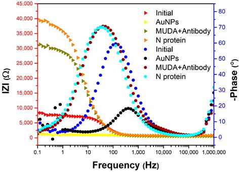 Customizable Fabrication Process For Flexible Carbon Based