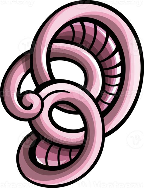 Cartoon Decorative Curl 38453447 Png