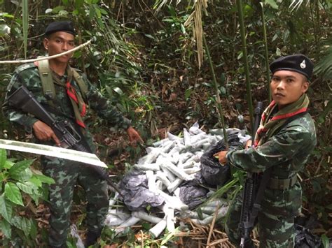 นาทวี ซ่อนในป่าเหมือนเดิม ยึดใบกระท่อมหนัก 237 กิโลกรัม ริมรั้วชายแดน