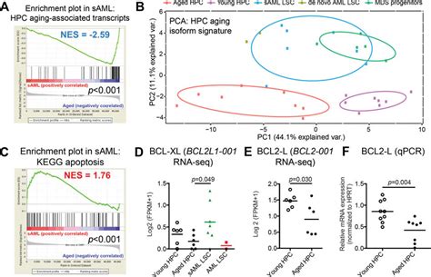 Splice Isoform Switching Distinguishes Malignant From Normal Progenitor