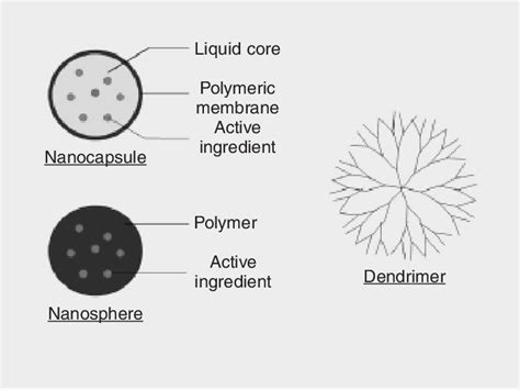 Schematic Representation Of The Structure Of Nanocapsules Nanospheres