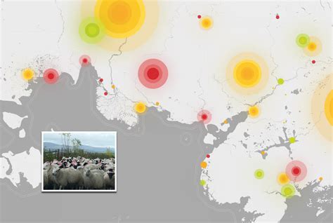 Disease Outbreak Control Sinergise