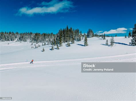 크로스 컨트리 스키 어키스키의 광각 공중 샷과 콜로라도 의 그랜드 메사 국유 림의 손질 된 트레일에서 대각선 보폭방법을 연습 스키에 대한 스톡 사진 및 기타 이미지 Istock