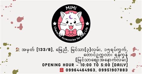 Heroes For Myanmar ဂျိုနသန်ဆရာကြီး Paul Rudd ကို Entertainment Tonight ကအင်တာဗျူးနေတာဖြစ်ပါတယ