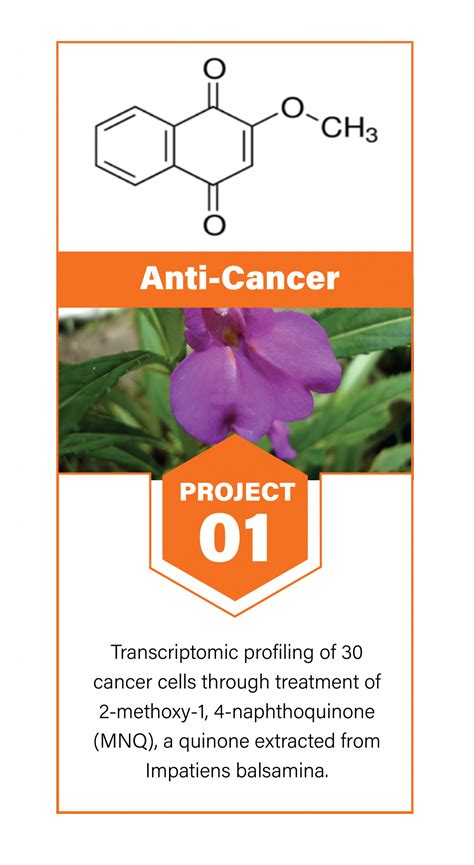 Products And Services Dswiss